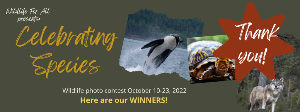 Wildlife For All "Celebrating Species" Photo Contest Winners | Wildlife ...