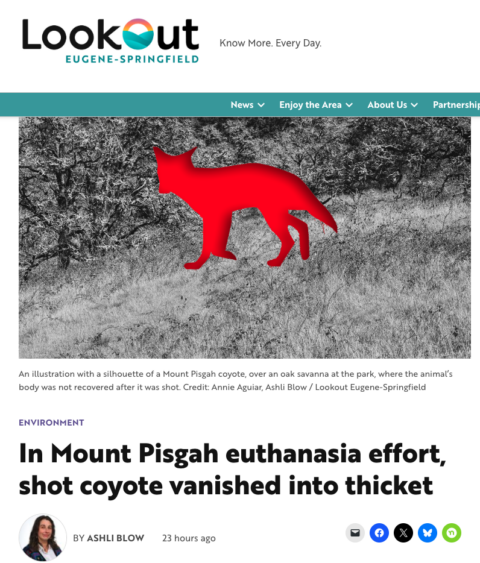 Mount Pigsah Coyote Killing Highlights Need for Coexistence Policies ...